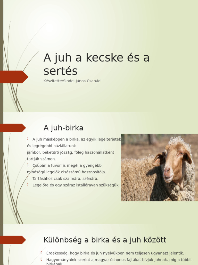 A Juh A Kecske És A Sertés | PDF