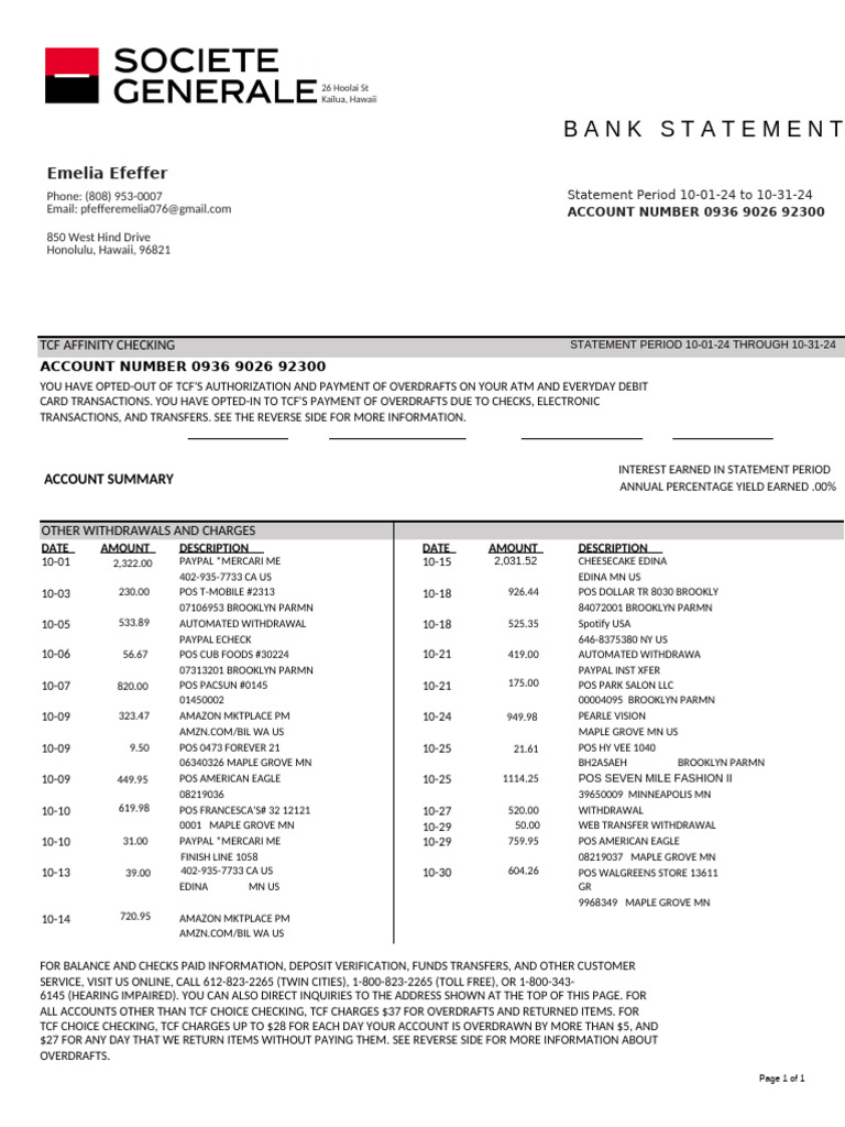 179 Emelia Efeffer Statement | PDF | Overdraft | Service Industries