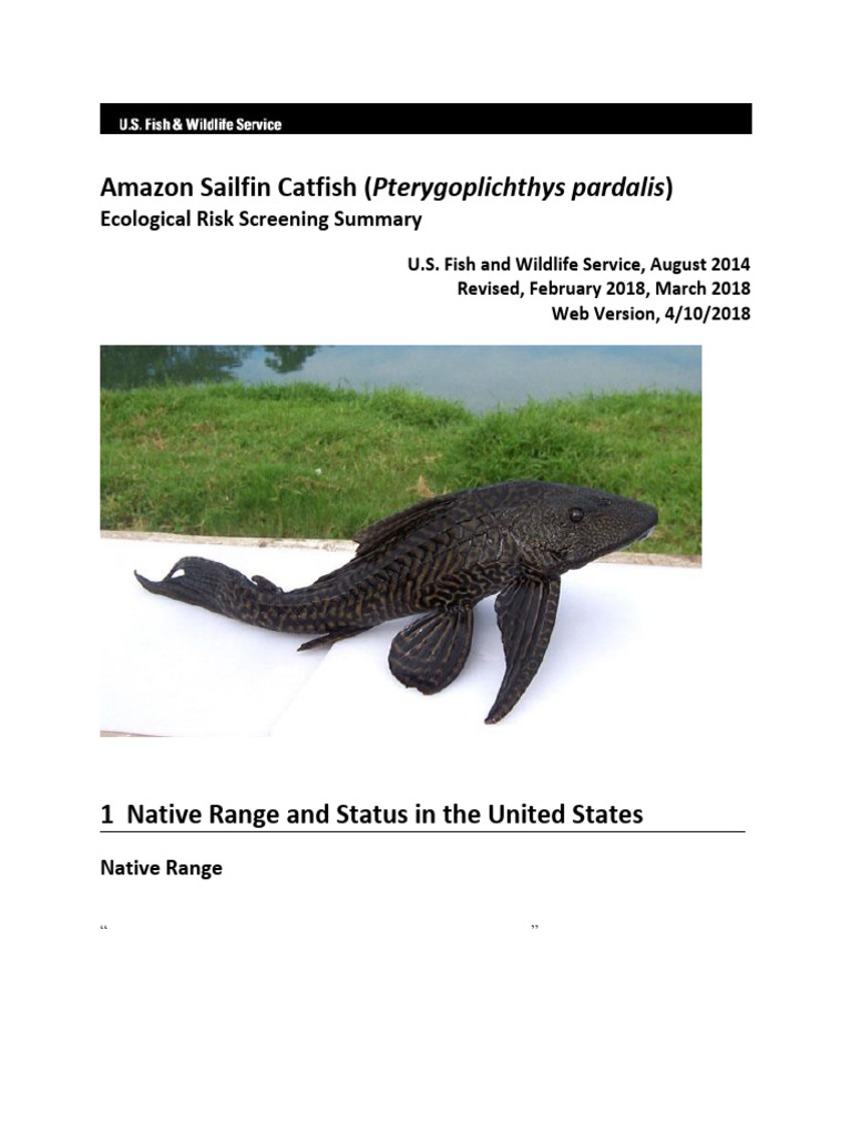 Ecological Risk Screening Summary Amazon Sailfin Catfish | PDF