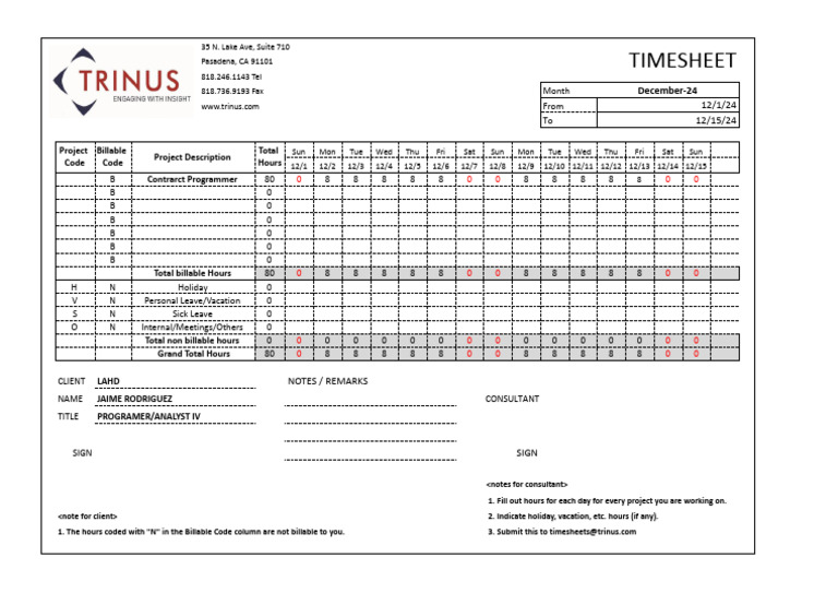 Consultant Timesheet for December 2024 | PDF | Leave Of Absence ...
