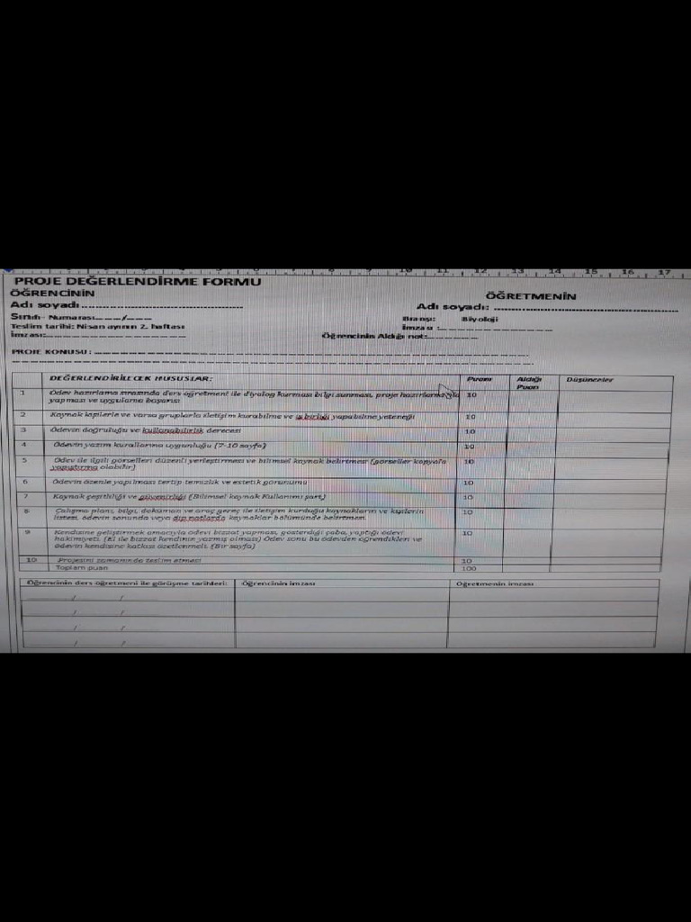 Proje Degerlendirme Formu | PDF