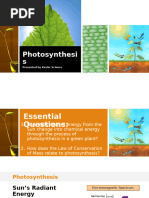 Photosynthesis Class10 Notes | PDF