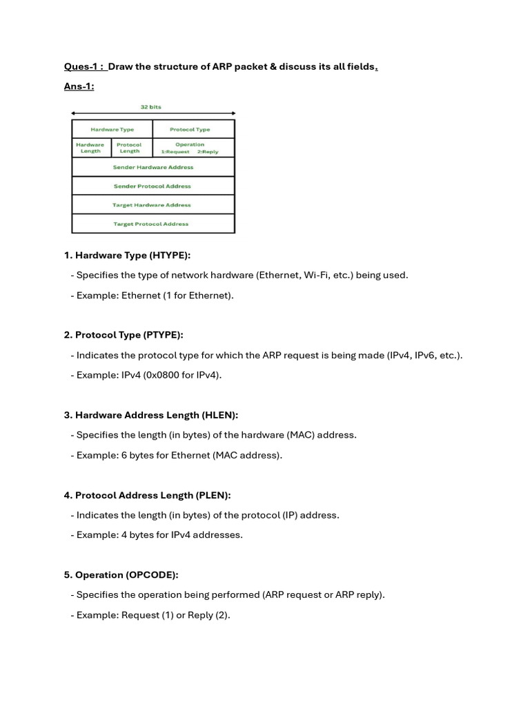Tute 3 Cn Pdf Routing Internet Protocols