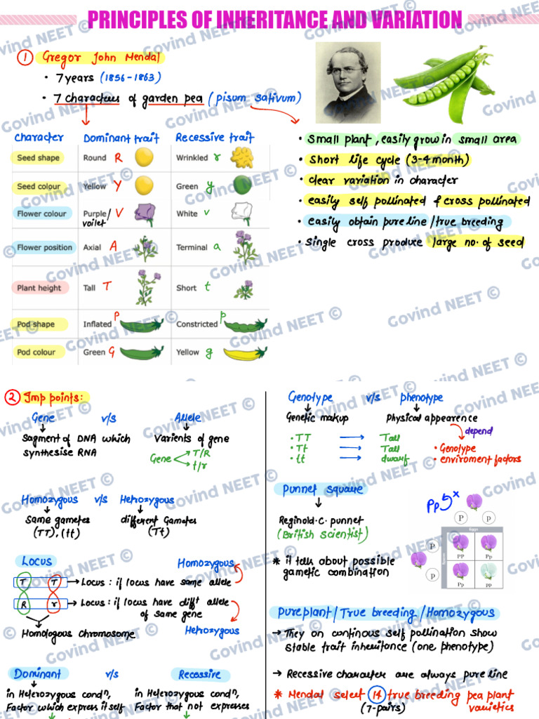 Principle of Inheritance and Variations | PDF