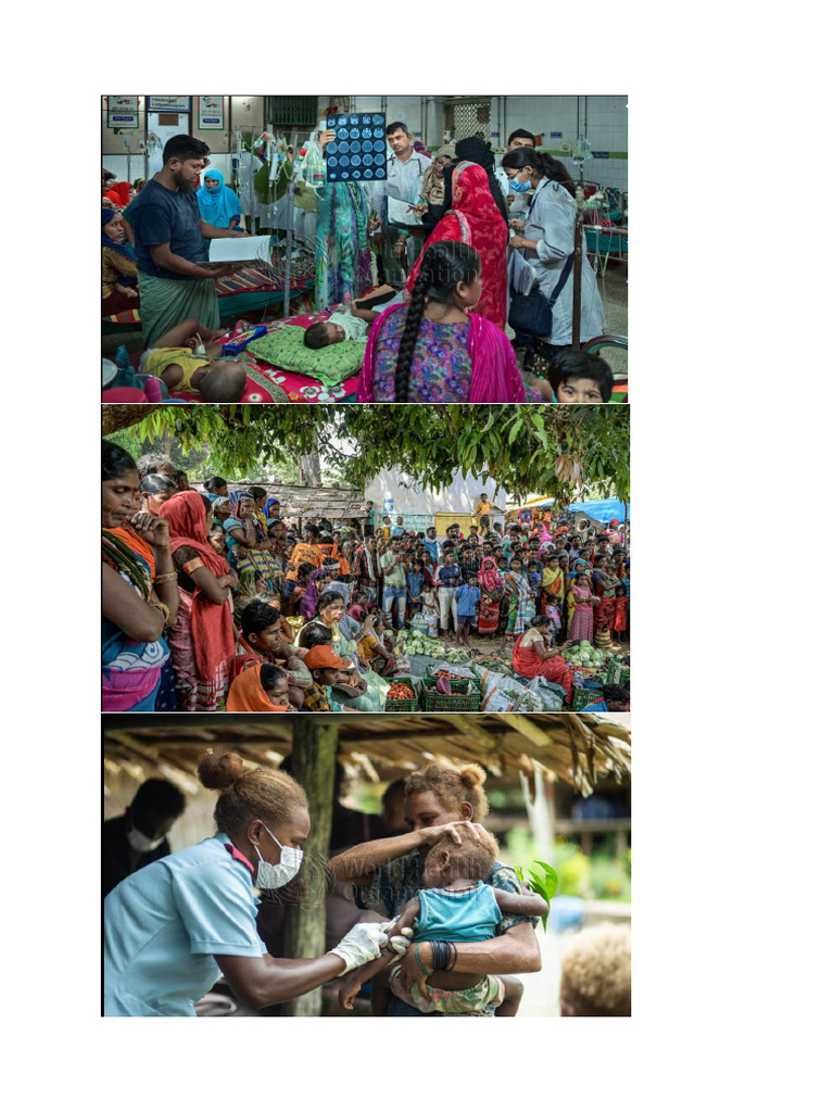 History/Civics Class 10 Icse Project Useful Pictures | PDF