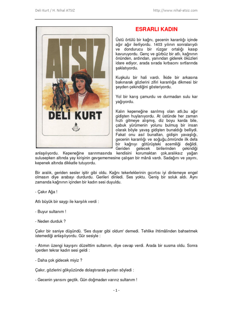 Nihal Atsiz Deli Kurt TR | PDF