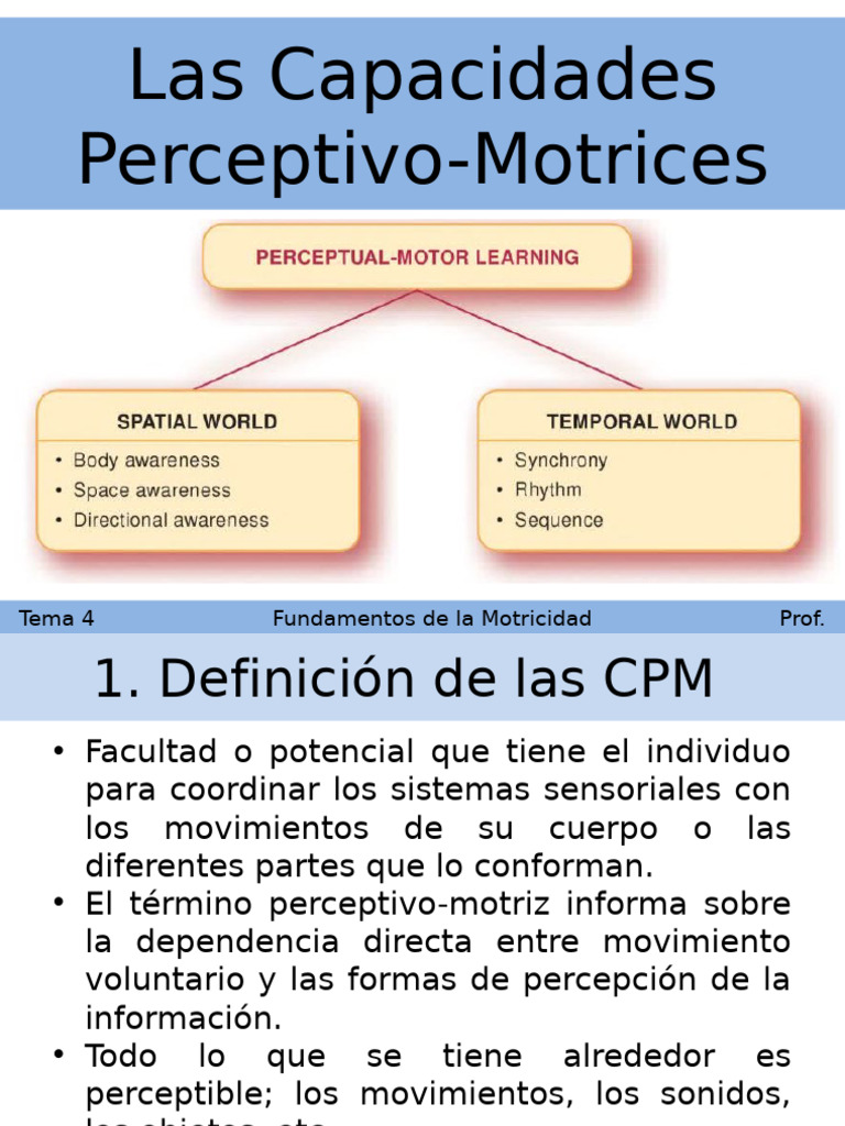 Capacidades Perceptivo-Motrices en Niños | PDF | Respiración | Handedness