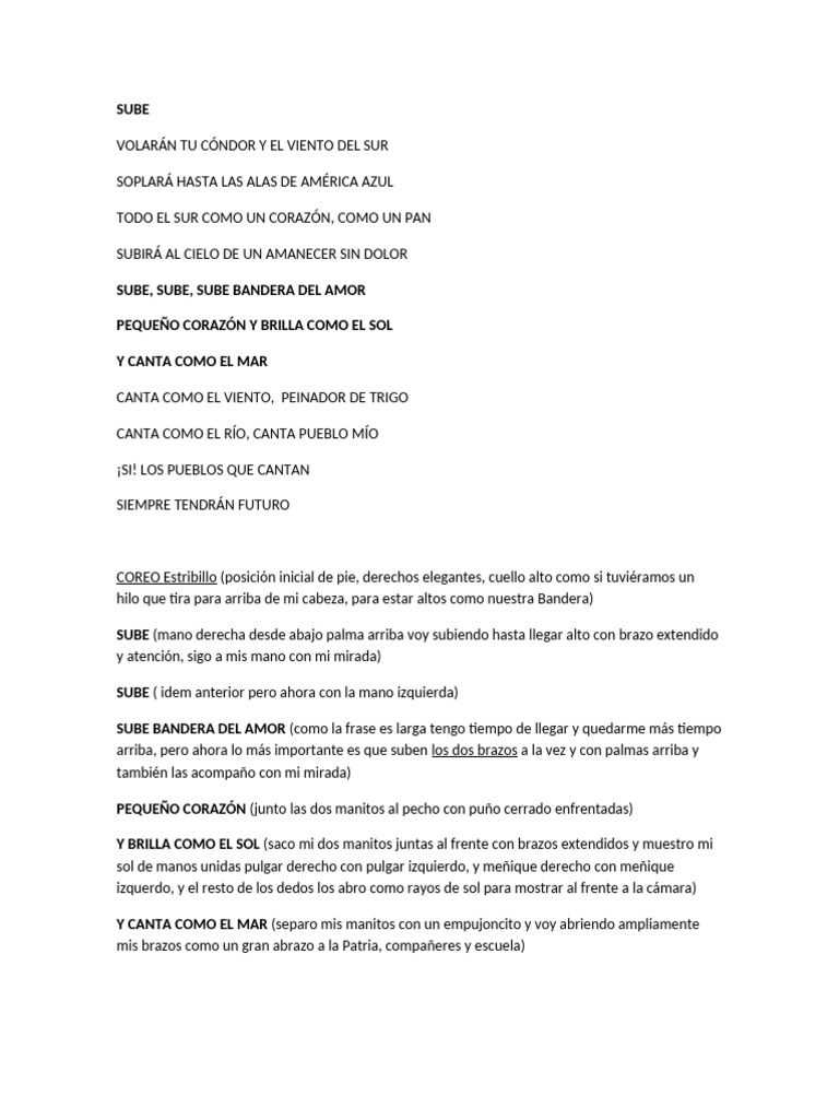 SUBE indicaciones coreo | PDF