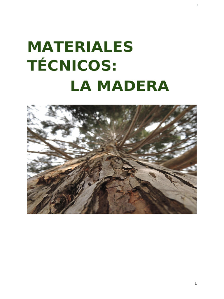 Trabajodelamadra Carlota Organvídez | PDF | Madera | Arboles