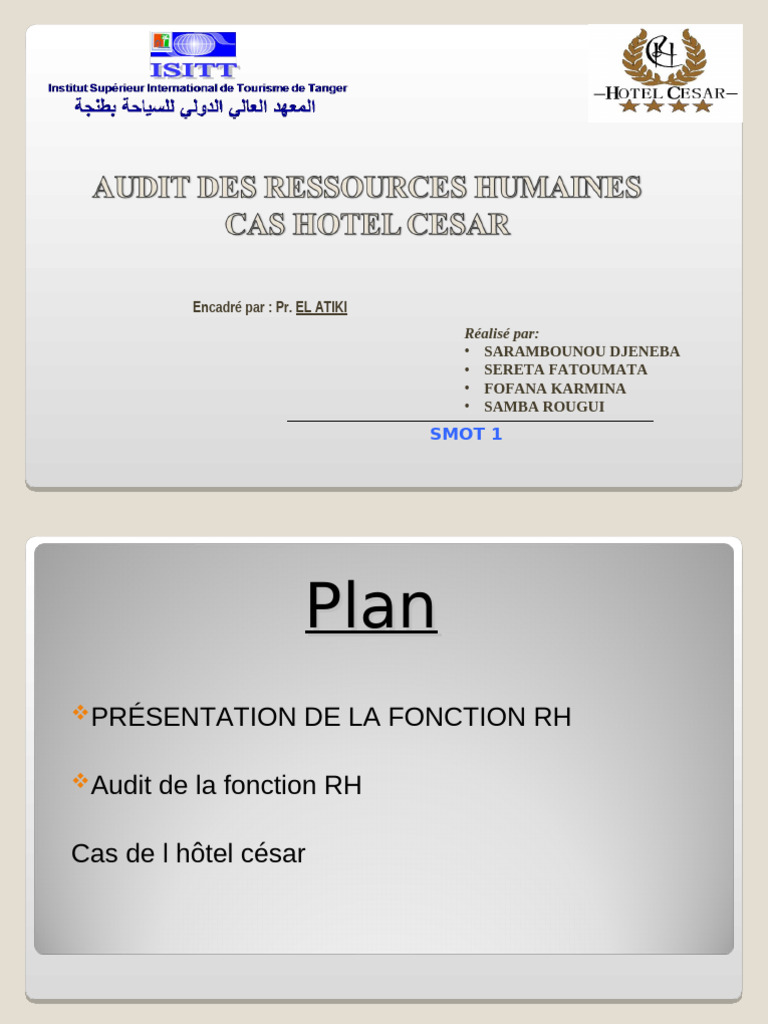 audit-fonction-RH | PDF | Gestion des ressources humaines | Recrutement