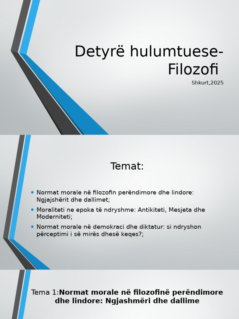 DetyrÃ Hulumtuese-Filozofi Shkurt 2025 | PDF