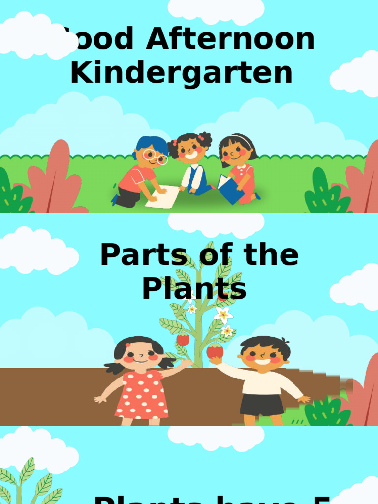 28-Evaluation in the Curriculum-Medidas, Trisha Joy C. | PDF