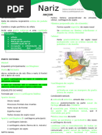 Anatomia Do Nariz e Seios Da Face | PDF | Sistema Esquelético | Otorrinolaringologia
