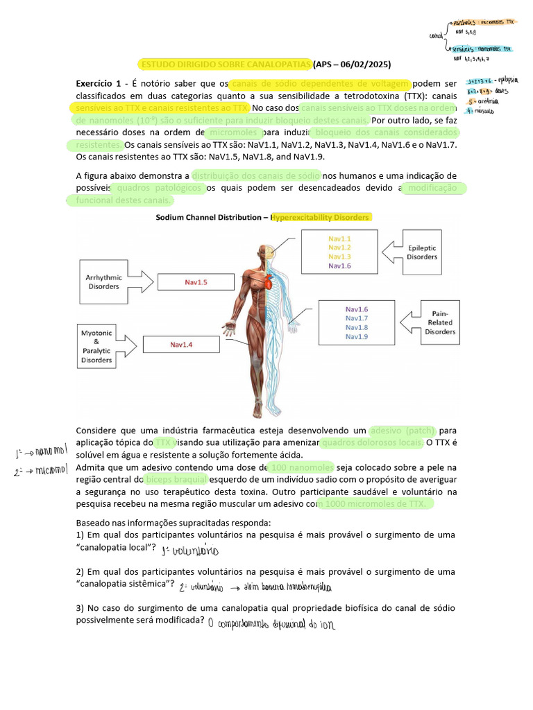 Estudo - Dirigido - Canalopatias - APS 2025 - 250210 - 195703 | PDF ...