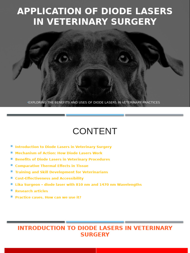 Diode Lasers in Veterinary Surgery | PDF | Laser | Laser Diode