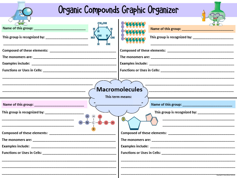 Macromolecules Graphic Organizer | PDF | Biochemistry | Chemistry