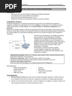 Disecando el Pulmón de Vaca | PDF | Pulmón | Sistema respiratorio