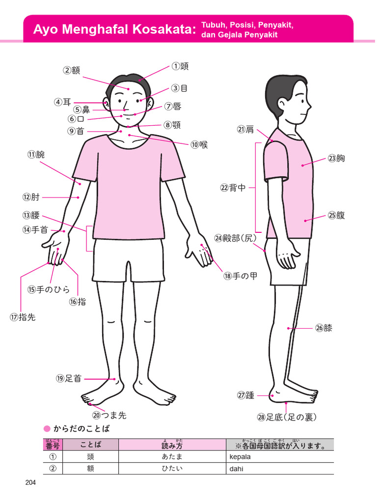 Modul Kaigo Bahasa Jepang | PDF