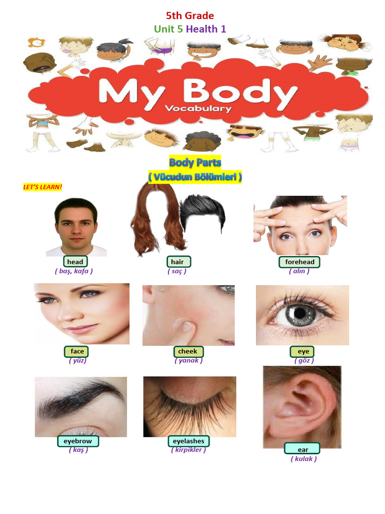 5th Grade Unit 5 HEALTH - MY BODY 1 | PDF | Limbs (Anatomy) | Primate ...