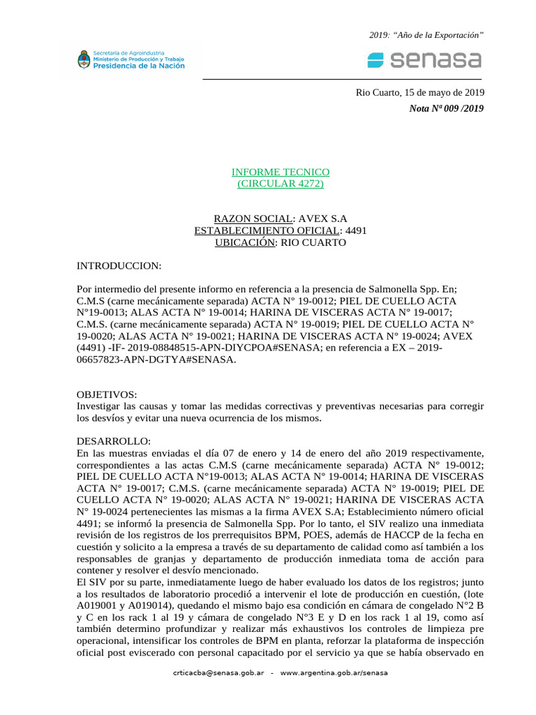 INFORME TECNICO EJEMPLO | PDF