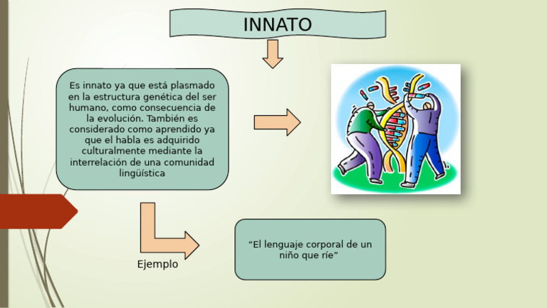 Lenguaje: Innato y Aprendido | PDF