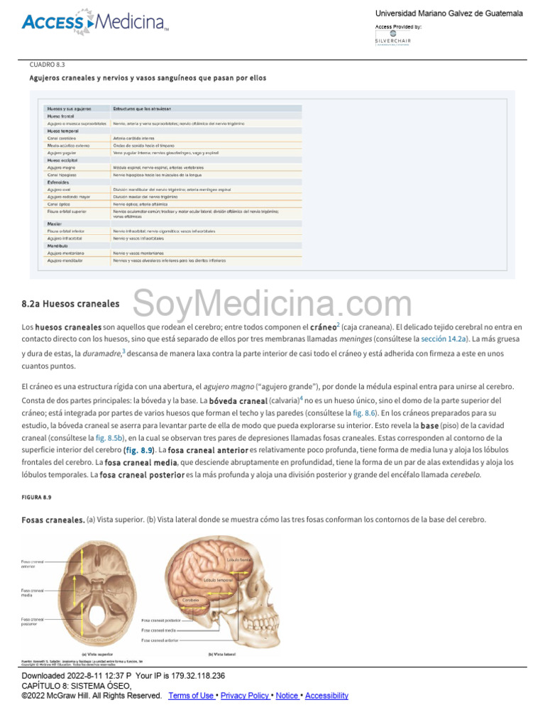 Anatomía y Fisiología. La Unidad Entre Forma y Función - 9 Edicion-381-393 | PDF | Cráneo ...