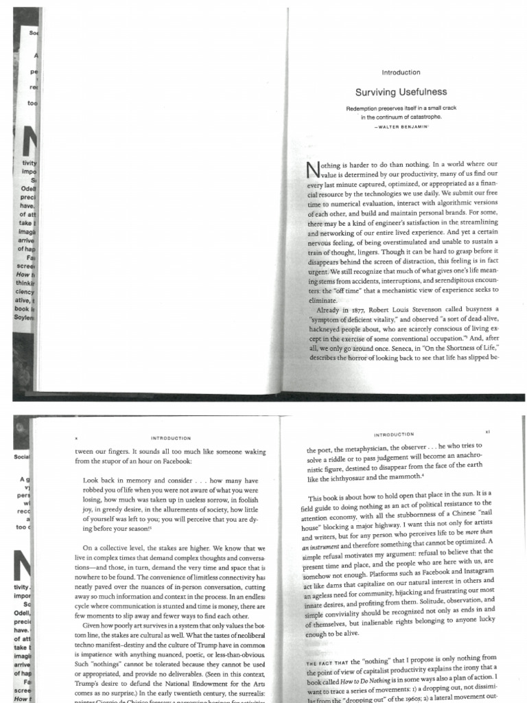 Jenny-Odell-How-to-Do-Nothing-excerpt- (2) | PDF