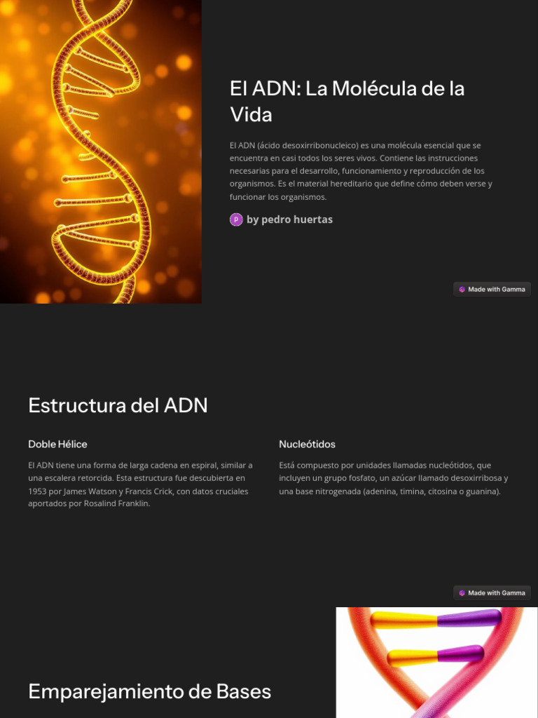El ADN La Molecula de La Vida | PDF | Adn | Genética