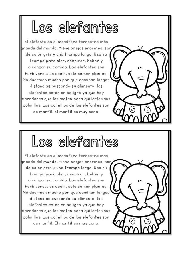 Texto Los Elefantes | PDF