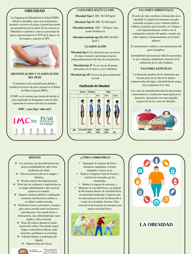 Triptico de La Obesidad 2 | PDF | Obesidad | Tejido adiposo Triptico de La Obesidad 2 | PDF | Obesidad | Tejido adiposo