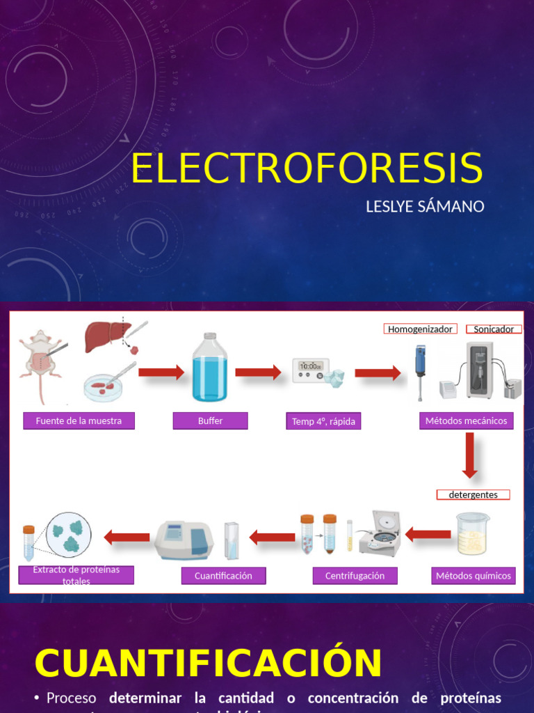 Electroforesis | PDF | Electroforesis | Química