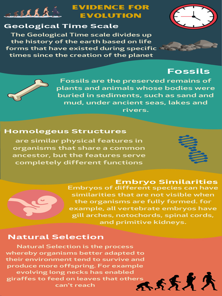 Earth history and evolution unit | PDF