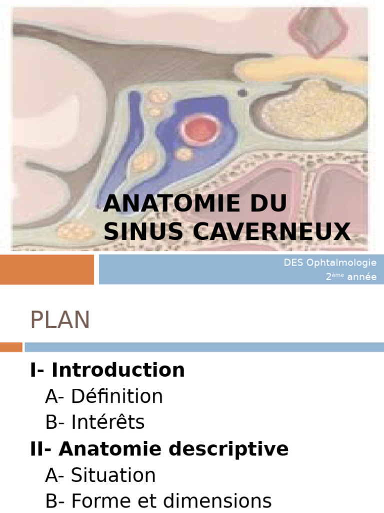 Anatomie Du Sinus Caverneux | PDF | Anatomie humaine | Tête et cou chez l'humain