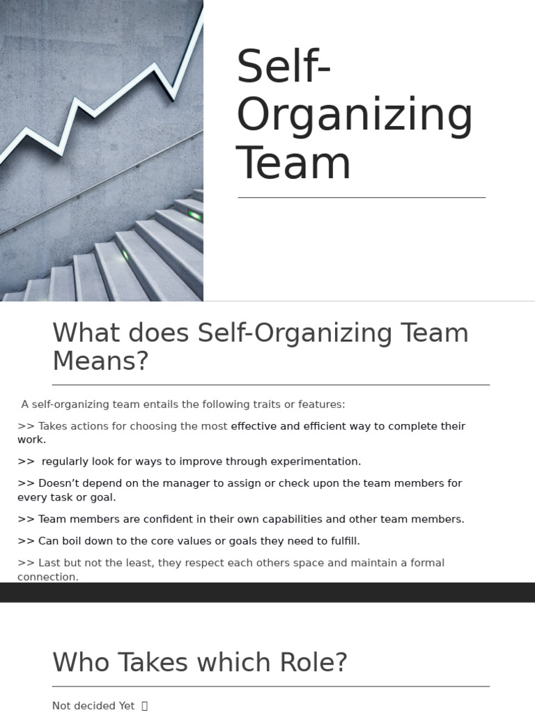 Self Organizing Team | PDF