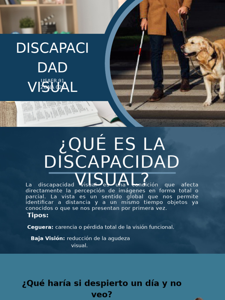 Guía sobre Discapacidad Visual y Braille | PDF | Discapacidad visual ...