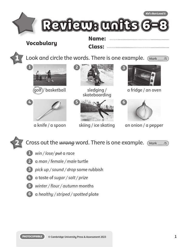 Kid's Box Level 5 Vocabulary Review | PDF