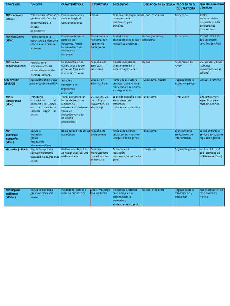 Tiposde Arn | PDF | Messenger Rna | Rna