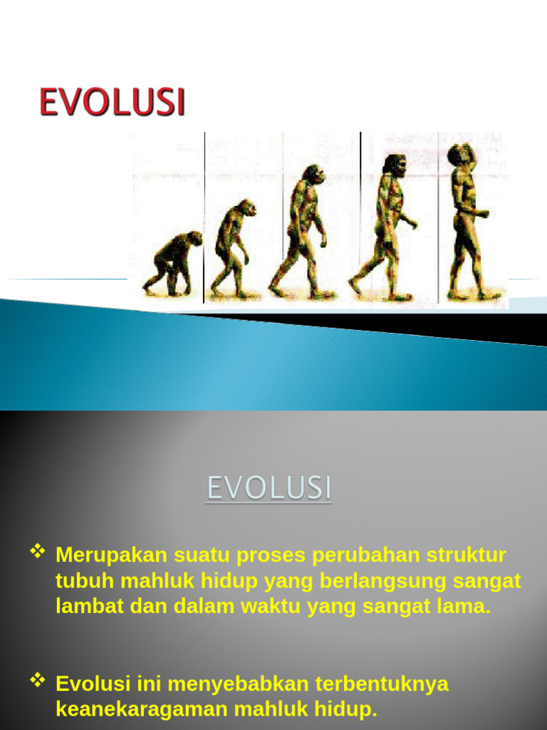 Teori Asal Usul Kehidupan | PDF