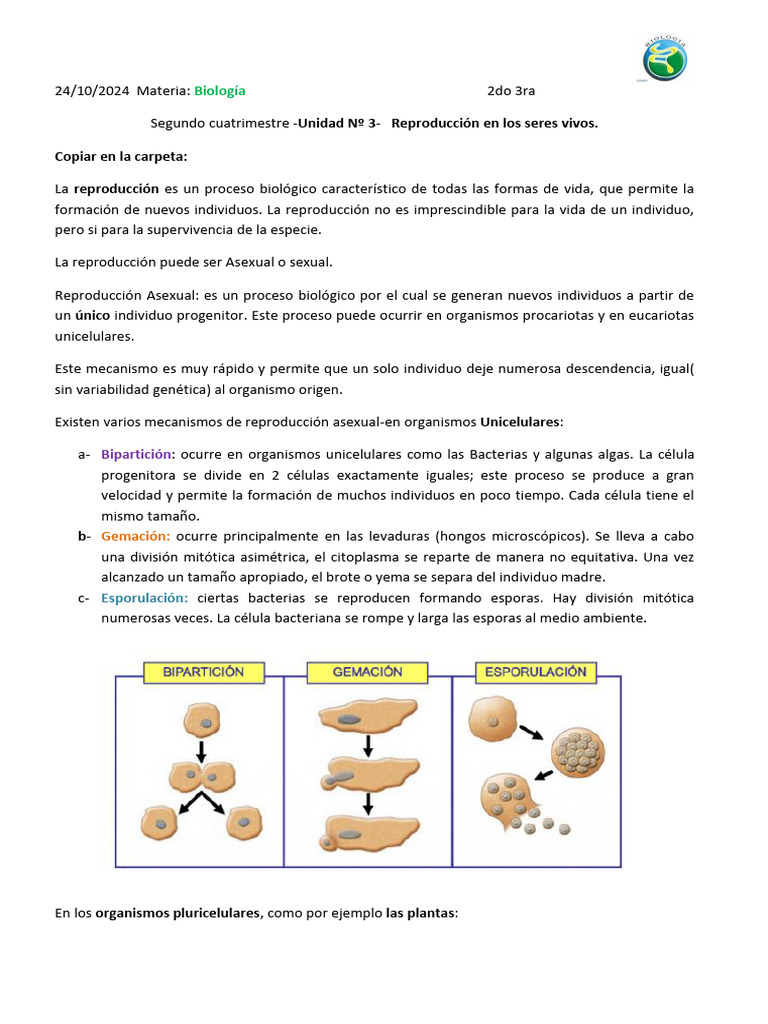 Tp-Reproduccion en Los Seres Vivos - Introduccion | PDF | Flores ...