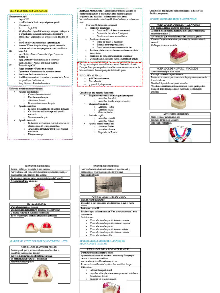 Resum Tema 9 Orto | PDF