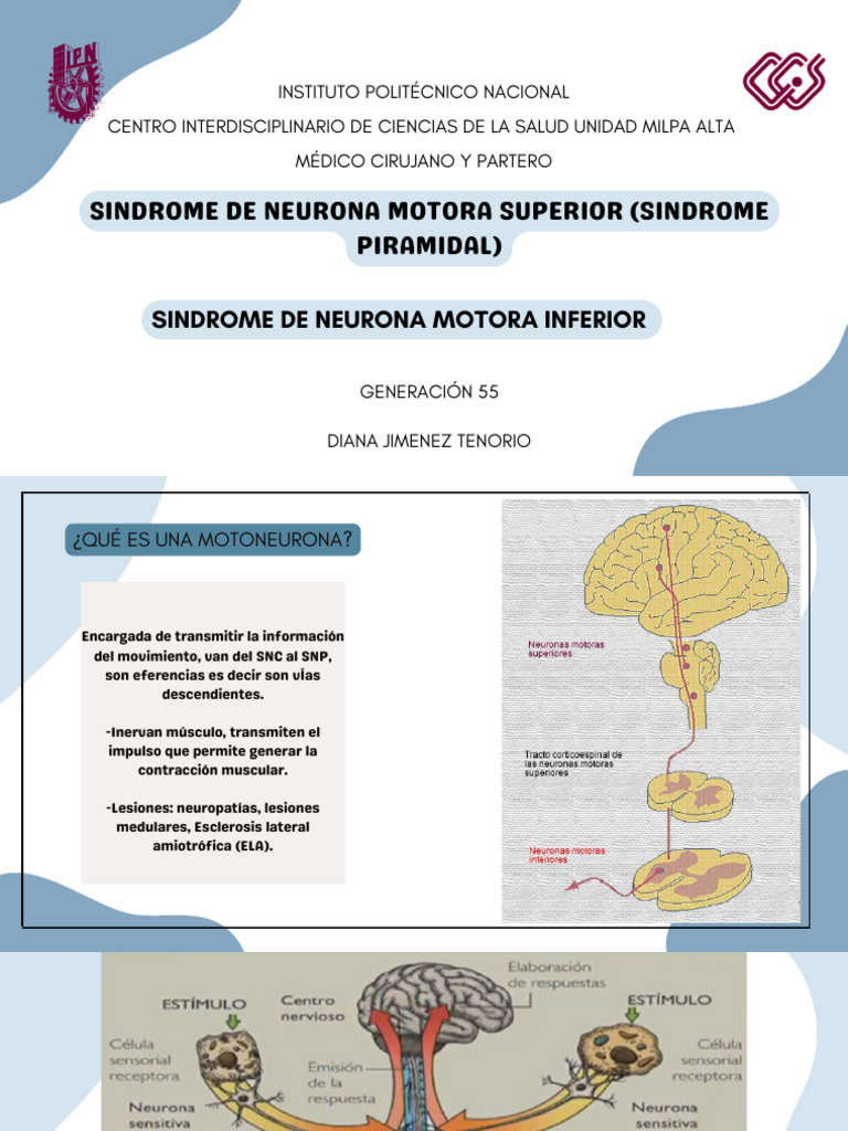 Síndrome de Neurona Motora Superior e Inferior | PDF