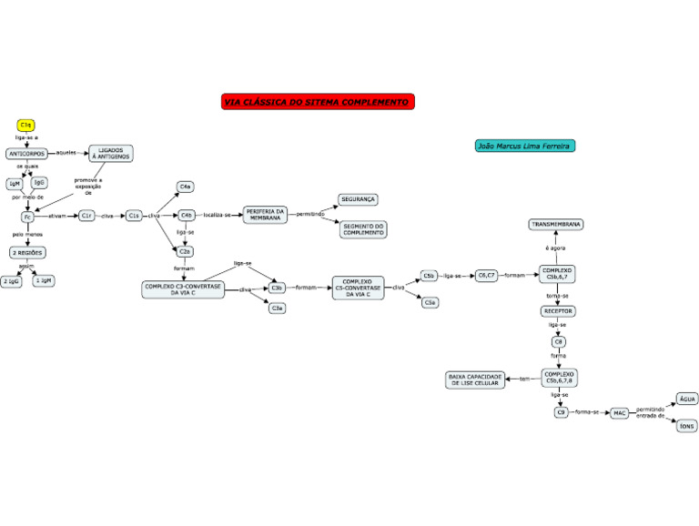 Via Classica Do Sistema Complemento | PDF