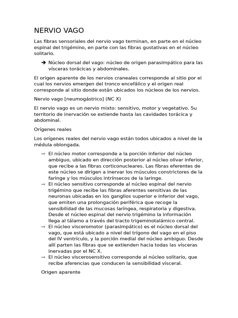 Funciones y Trayecto del Nervio Vago | PDF | Nervio vago | Neuroanatomía