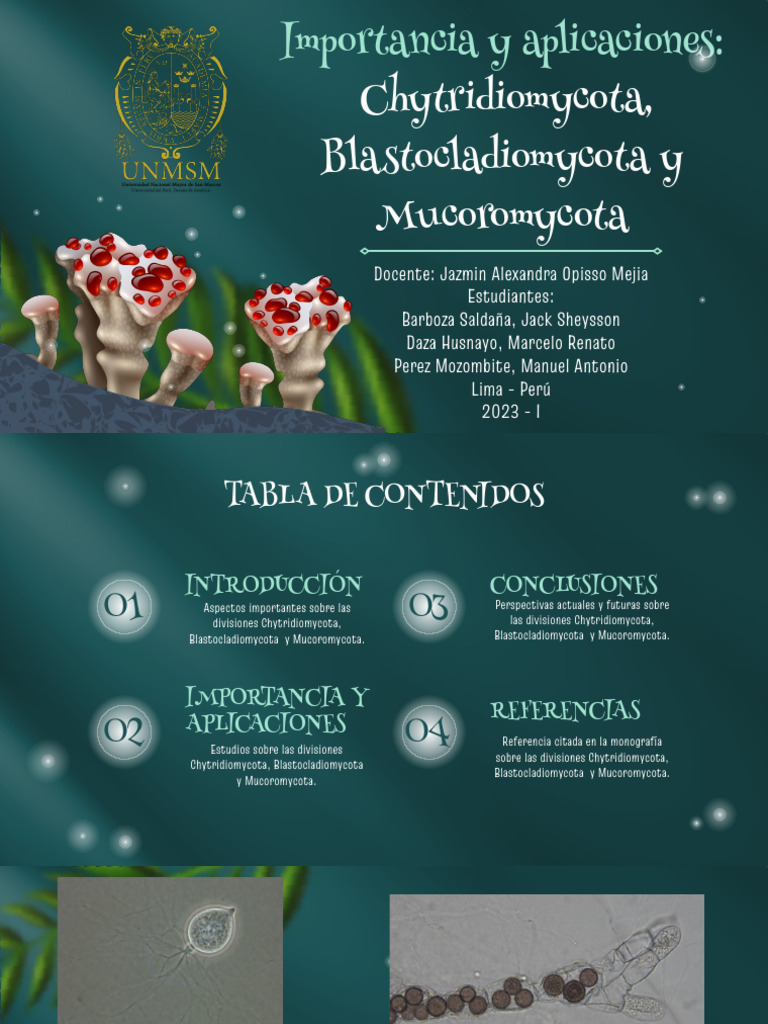 Chytridiomycota, Blastocladiomycota y Mucoromycota | PDF | Hongo ...