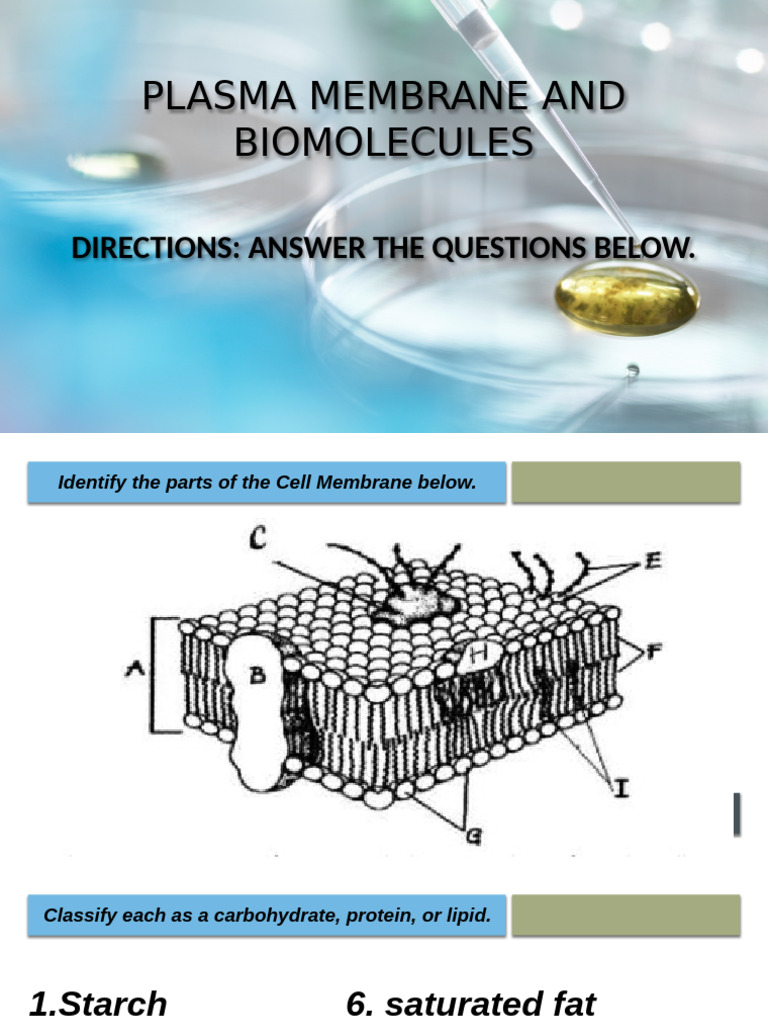 Plasma Membrane and Biomolecules Quiz | PDF | Cell Membrane | Cell ...