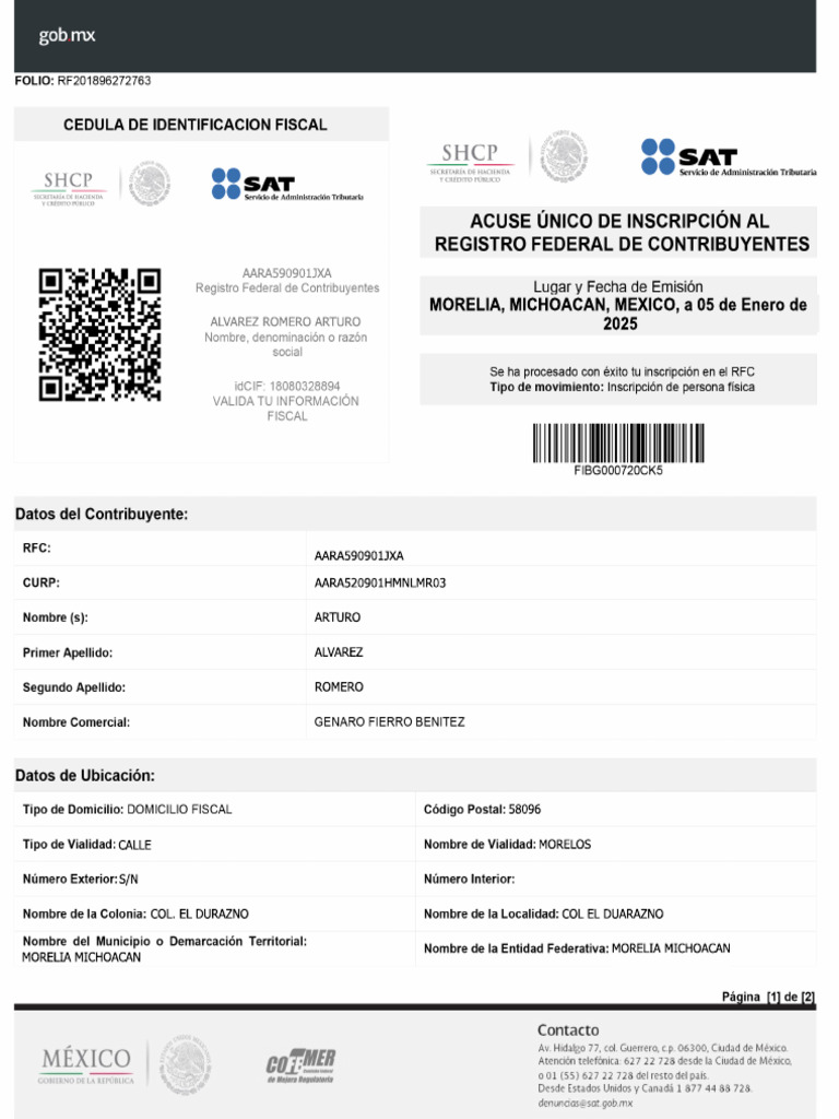 386517125-formato-rfc-1 | PDF