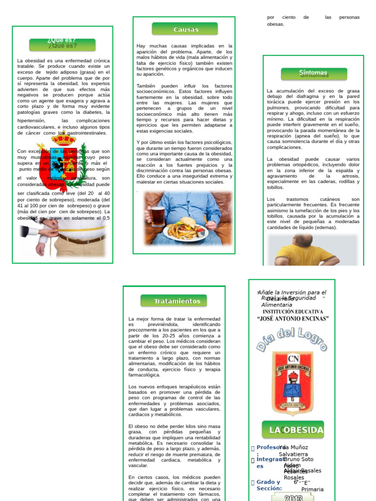 Triptico La Obesidad | PDF | Obesidad | Tejido adiposo