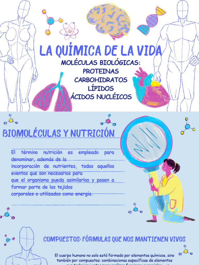 La Química de La Vida | PDF | Nutrientes | Nutrición