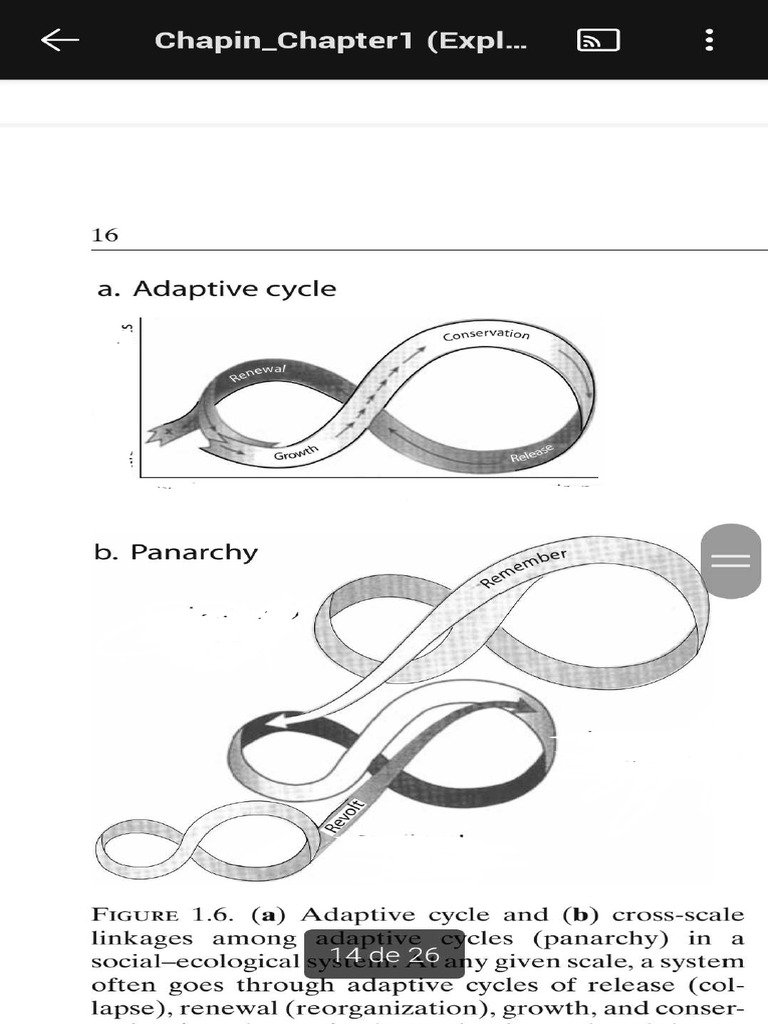 Adaptive Cycle and Panarchy in Ecology | PDF