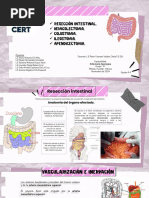 Abordaje Quirúrgico de La Resección Intestinal | PDF | Cirugía ...